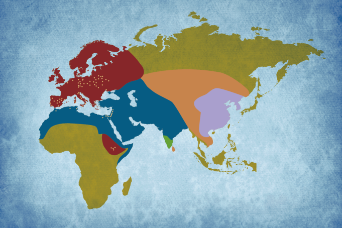 1485 Around the World | Culture Leicestershire - Heritage, Libraries ...